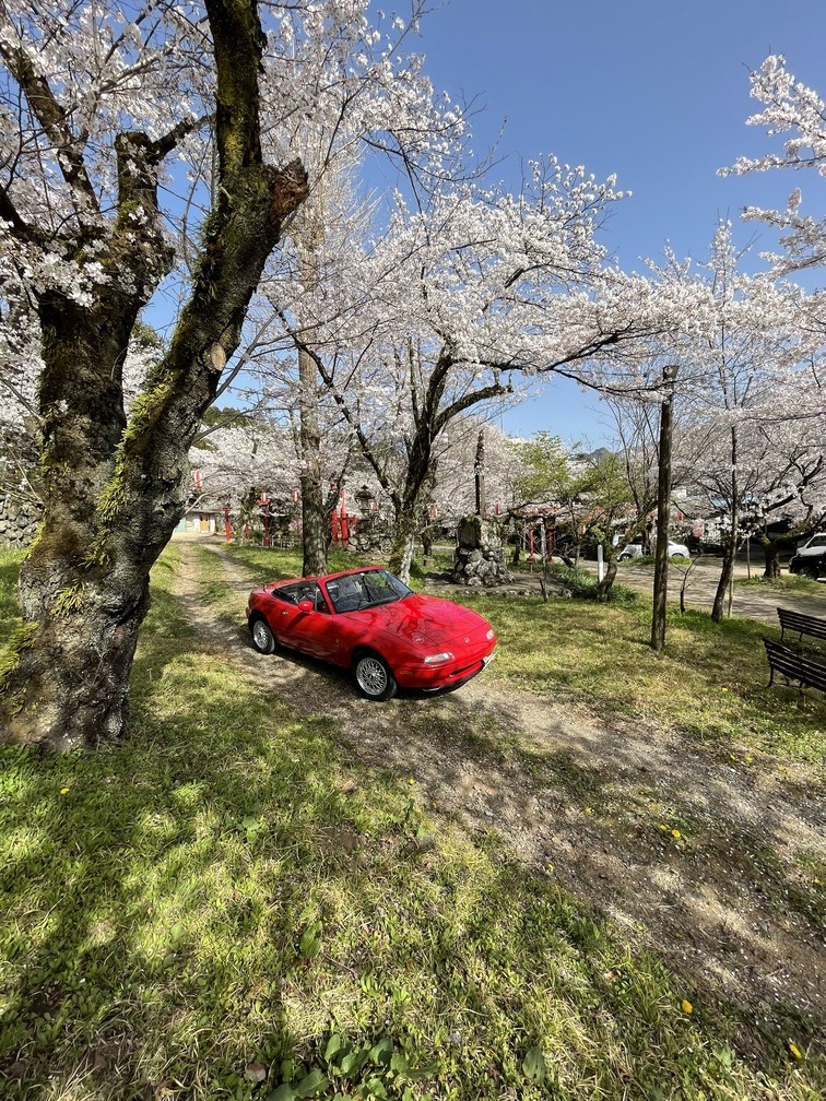 納期: タナボタ業務日誌